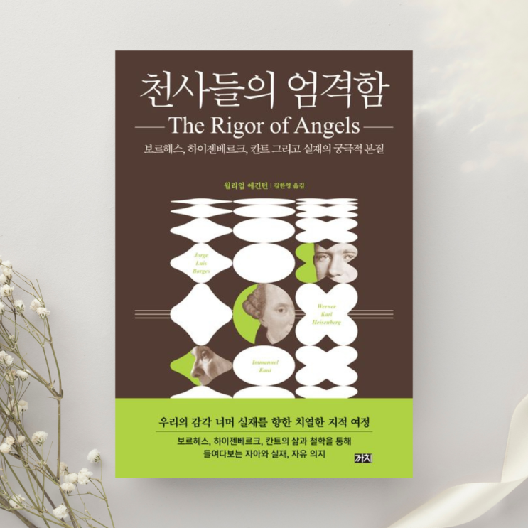 [도서리뷰] '천사들의 엄격함The Rigor of Angels(보르헤스, 하이젠베르크, 칸트 그리고 실재의 궁극적 본질 ...
