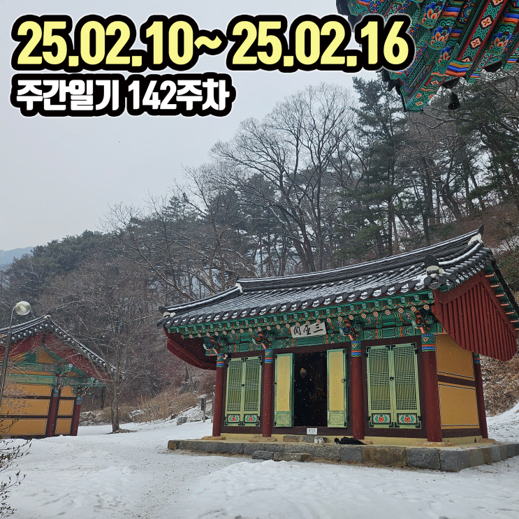 #주간일기 #142주차 25.02.10 ~ 25.02.16 : 네이버 블로그