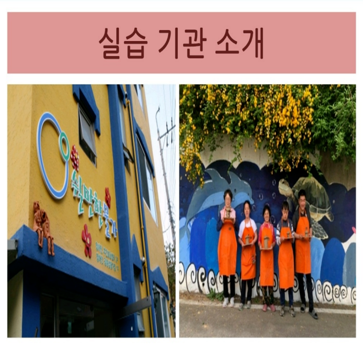 사회복지 현장실습 후기 발표과제 : 네이버 블로그