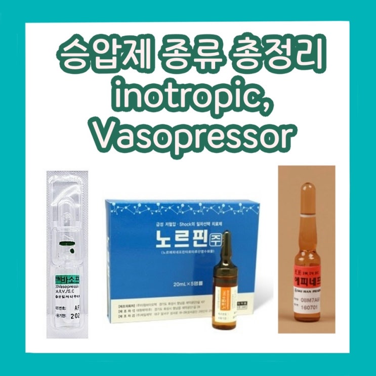 [응급실간호] 승압제(vasopressure, inotropic)의 종류 및 간호 총정리 - norpin, vaso, epi 등 ...