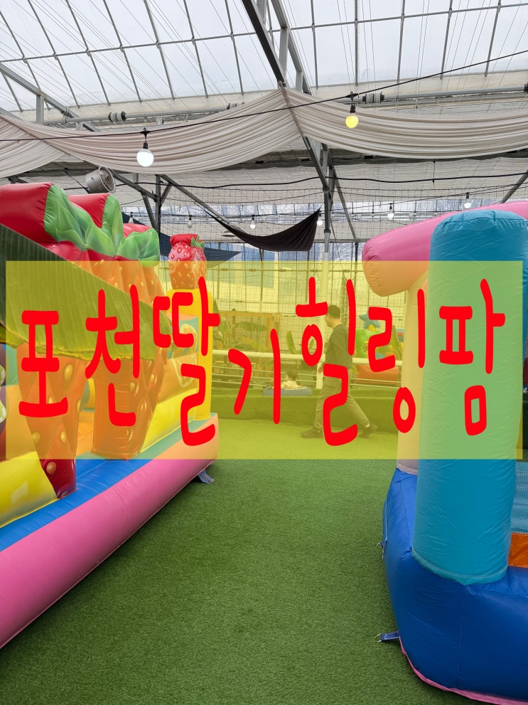 겨울 아기랑 갈만한 곳 추천 포천 딸기체험 포천딸기힐링팜 네이버 블로그