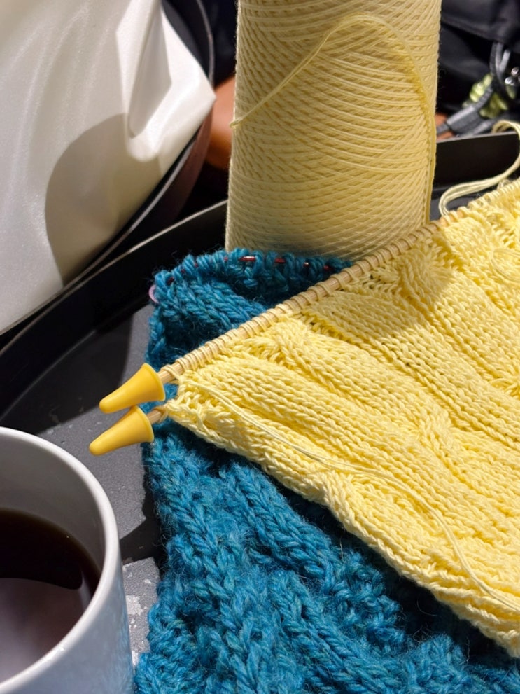 2월의 뜨개근황 - Skirt no.1, 아란&허니콤 브리오슈, 화분커버 만들기 : 네이버 블로그