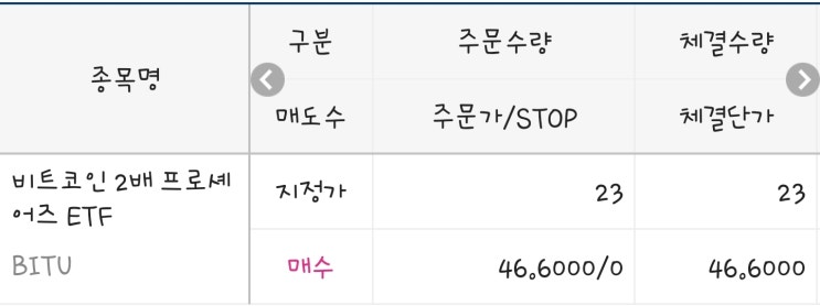 로루아빠 미국주식 2배 레버리지 ETF BITU 투자기 2/18~5/9 : 네이버 블로그