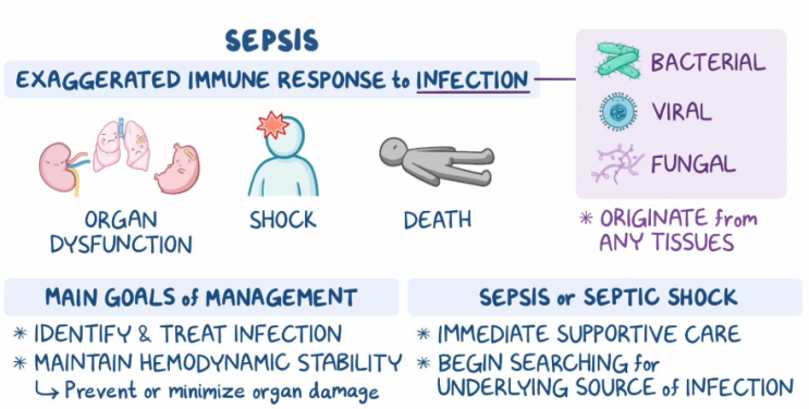 [권주형정형외과] 패혈증(Sepsis) 치료에서 변화하는 혈역학적 목표: CVP에서 MAP으로 : 네이버 블로그