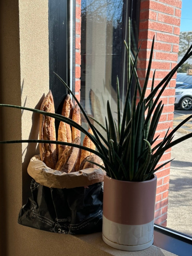 양주 카페 추천 :: 인테리어가 예쁜 유럽식 감성 카페, AAA Bakery(with 주차 정보) : 네이버 블로그