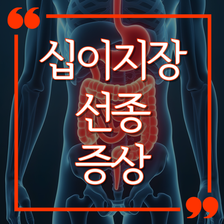 십이지장 선종, 증상부터 예방법까지 꼭 알아야 할 정보! : 네이버 블로그