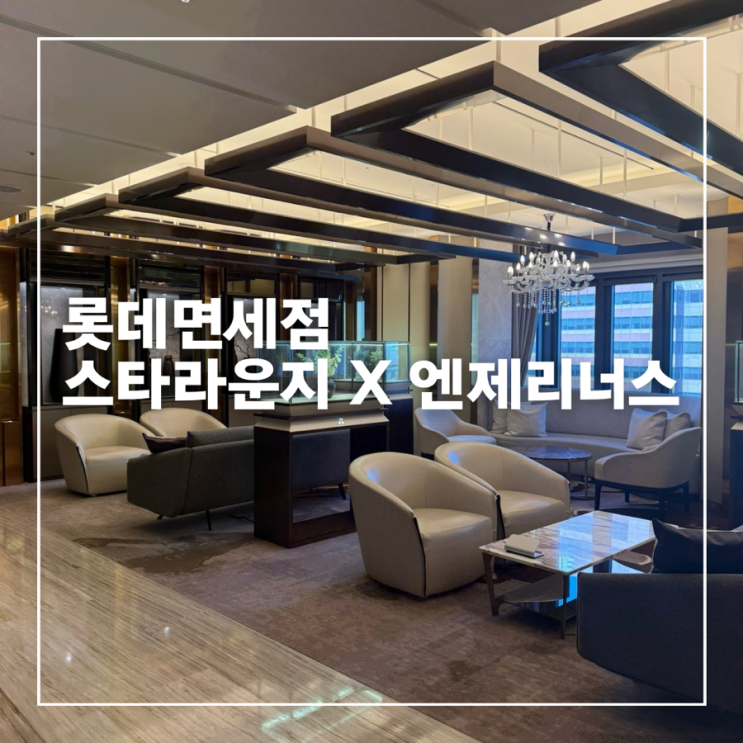 롯데면세점 명동본점 스타라운지 X 엔제리너스, LVIP, LVVIP 혜택, VIP 라운지 : 네이버 블로그