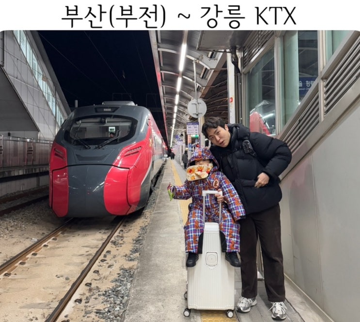 대관령 아이랑 여행 부전역(부산)에서 강릉까지 KTX 한 번에 : 네이버 블로그
