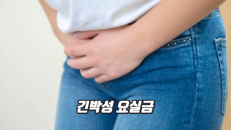 긴박성 요실금 오줌이 새요 문제 해결을 위해서는 : 네이버 블로그