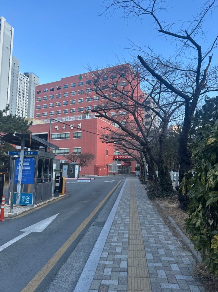 대동병원 소아발달재활센터 언어치료 검사 후기 : 네이버 블로그