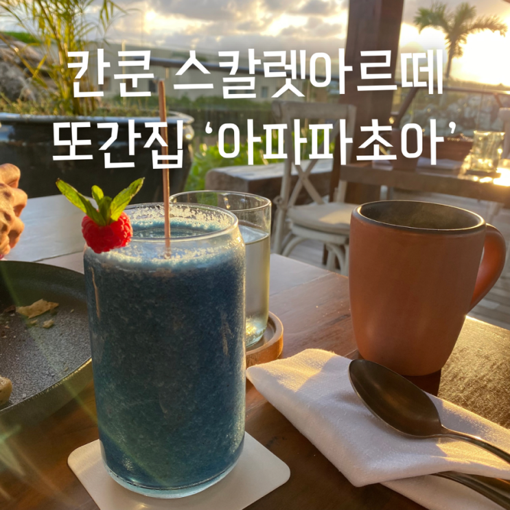 스칼렛아르떼 식당 아파파초아 Apapachoa 후기 스칼렛아르떼 또간집 비건식당 메뉴 추천 : 네이버 블로그