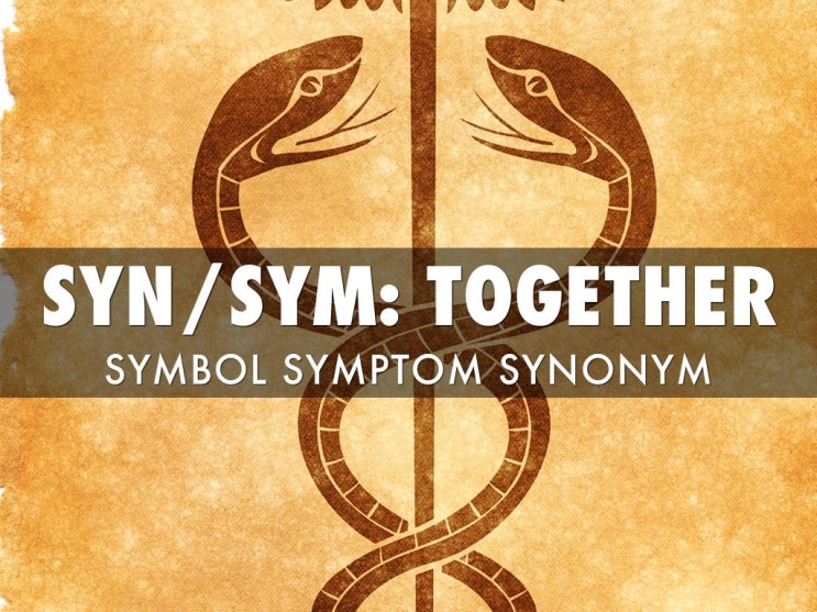 35. SYN, SYM : 네이버 블로그