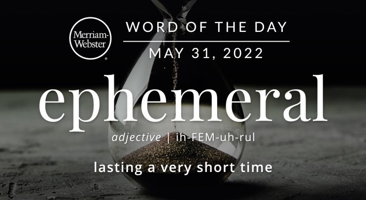 [100 College Graduate Words ] 35. ephemeral : 네이버 블로그