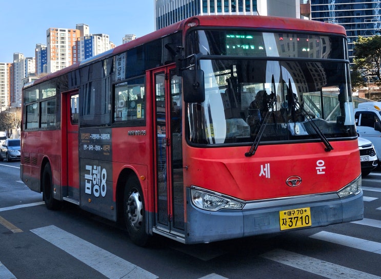 급행8번 New BS106 NGV 15" 세운버스 3710호 : 네이버 블로그