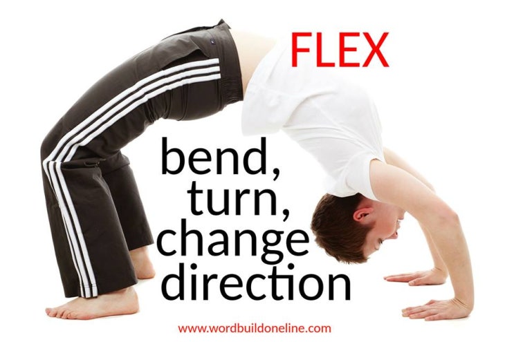 90. FLECT, FLEX : 네이버 블로그