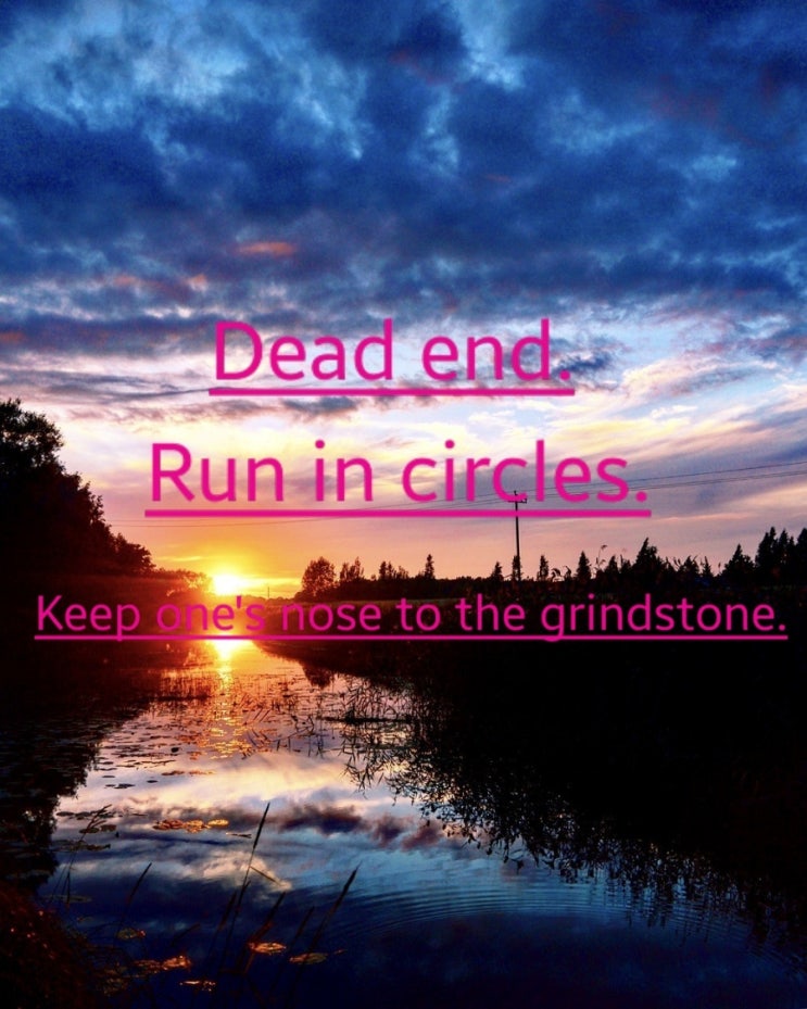 필수 idioms: Dead end. Run in circles. Keep one's nose to the grindstone ...
