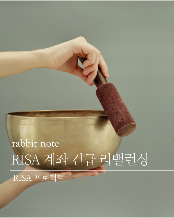 RISA 계좌 긴급 리밸런싱 : 네이버 블로그