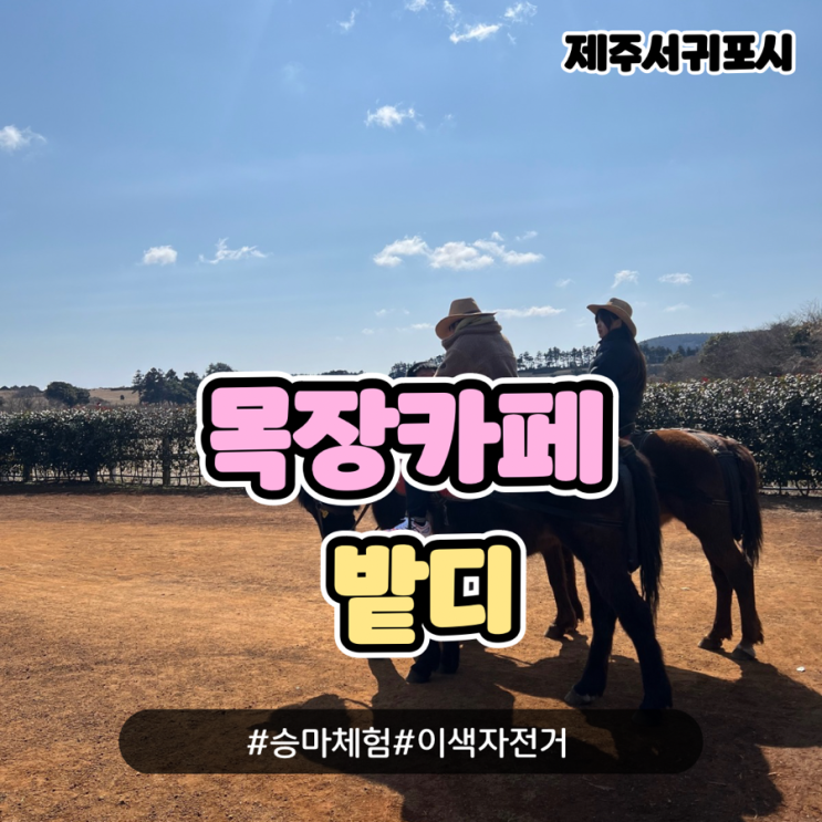 제주 서귀포 아이와 함께 가볼 만한 이색 자전거 말먹이주기 승마 체험 목장카페 밭디 디저트 맛집 네이버 블로그