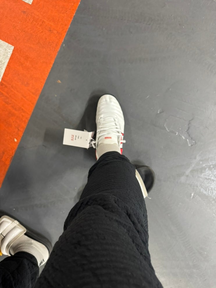 TLSS 택티션 GAO TF (TACTICIAN GAO TF) 275 : 네이버 블로그