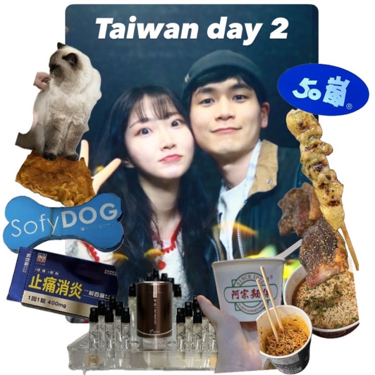 [대만 여행 2-2] 애견용품점(Sofy DOG•FORPET) / 50란 버블티 / 차 향수 P.seven / 아종면선 곱창국수 / 지파이맛집(MONGA) / 대만약국 ...