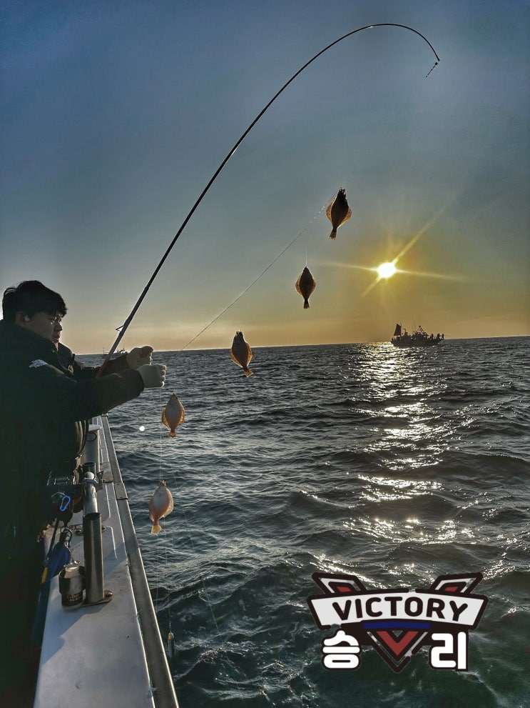 대진항 승리호 어구가자미 졸업&대구 시작! : 네이버 블로그