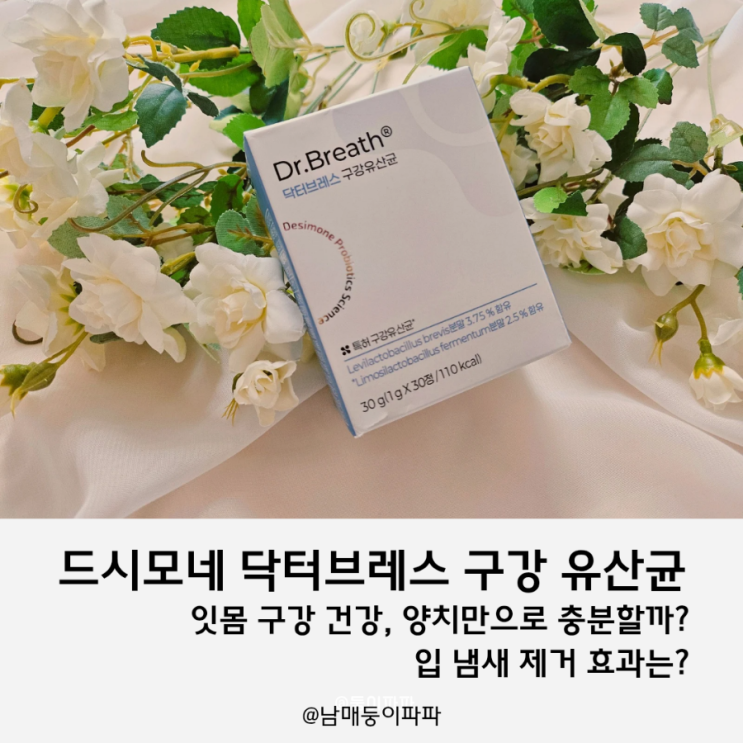 먹기 편한 츄어블 드시모네 닥터브레스 구강 유산균 후기 입 냄새 제거 효과는 네이버 블로그