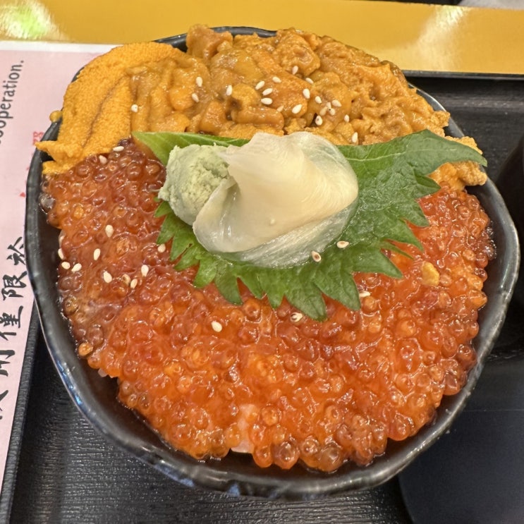 오사카 나라10 오사카 구로몬시장 참치 오도로 스시 이쿠라 우니 실컷 맛본 후기 네이버 블로그