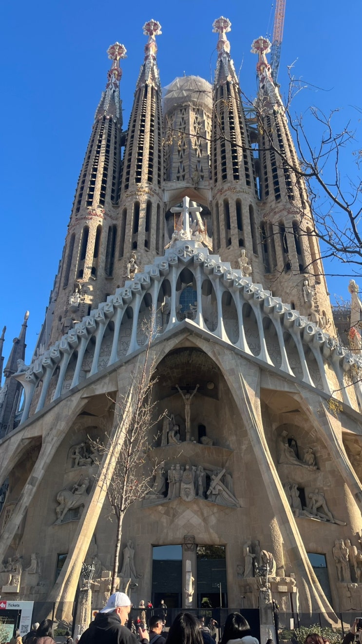 [투어라이브] 바르셀로나 사그라다 파밀리아 일요일 미사 참석하기! : 네이버 블로그