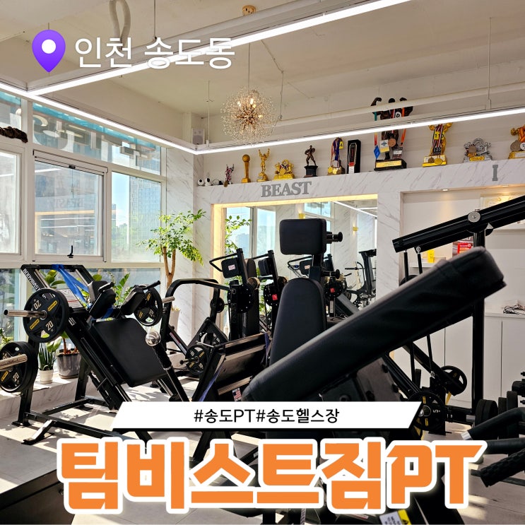 송도 대형 헬스장 국가대표가 운영하는 팀비스트짐pt에서 체형 교정과 다이어트 후기 네이버 블로그