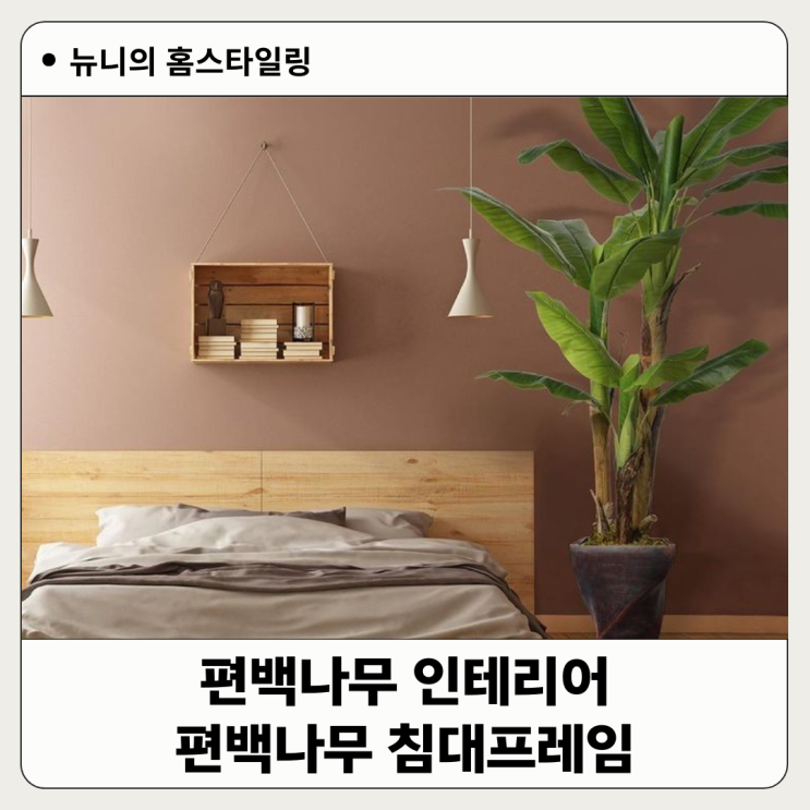 편백나무 인테리어 장점 예쁜 편백나무가구 침대프레임 네이버 블로그
