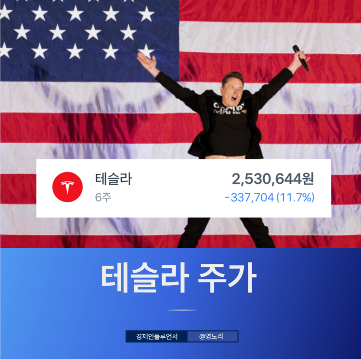 테슬라 주가 폭락 이유 주식 가격 파격 세일중 네이버 블로그