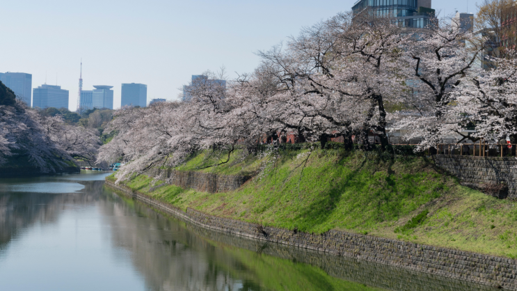 경제적 해자기업들로 이뤄진 MOAT vs ACE 미국WideMoat동일가중 ETF : 네이버 블로그