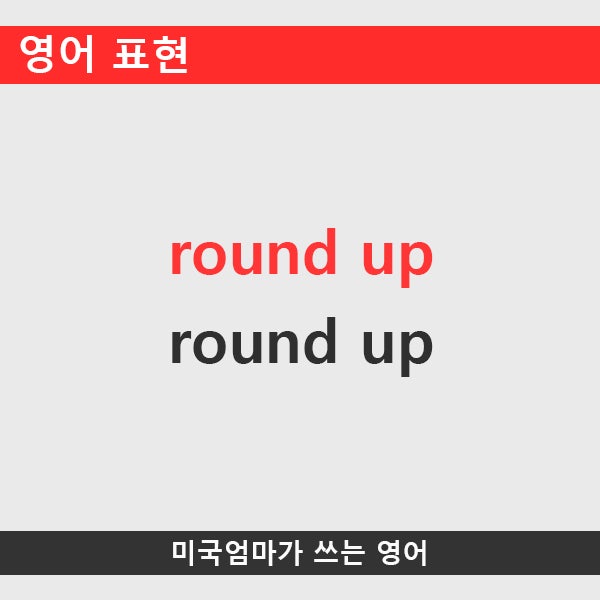 영어표현_round up : 네이버 블로그