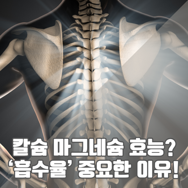 칼슘 마그네슘 효능 진짜 중요한 ‘흡수율 높이는 법 네이버 블로그