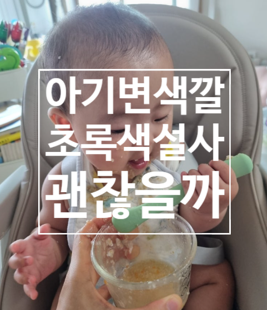아기 초록색변 설사 대변색깔 원인 증상 진단 검사 대처방법 네이버 블로그