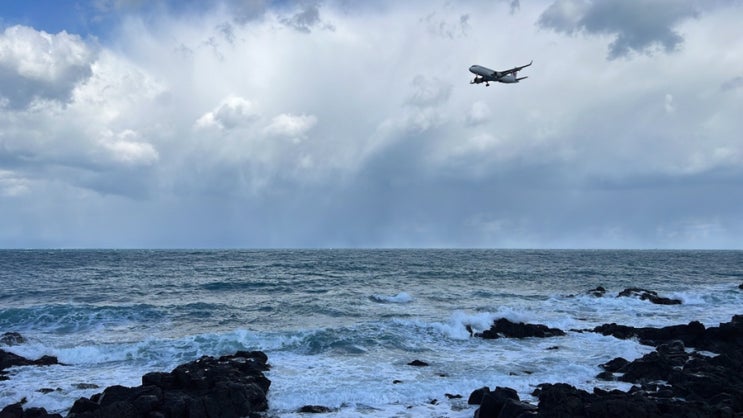 제주도 여행 4일차 여행 자매국수 / 제주공항 / 바이제주 기프트샵 / 제주파리바게트 제주 샌드 / 티웨이항공 제주도여행 ...