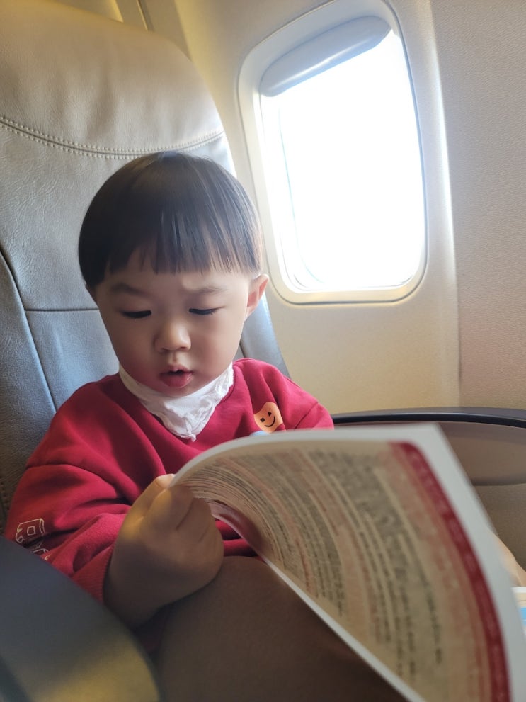 30개월 아기 시부모님과 대만여행, 공항픽업, 오가우육면, 단수이 대왕카스테라, 진리대학, 문문푸드 : 네이버 블로그