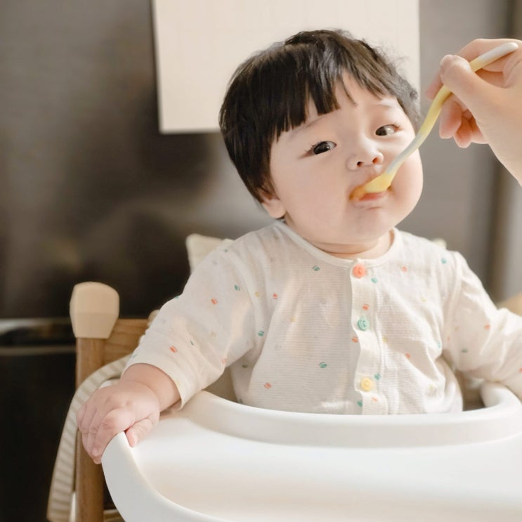 돌전아기 간식 과일퓨레 유기농야채 퓨레 루비얌 네이버 블로그
