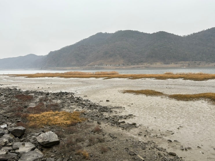 연세대학교 핀슨관의 윤동주 기념관 : 네이버 블로그