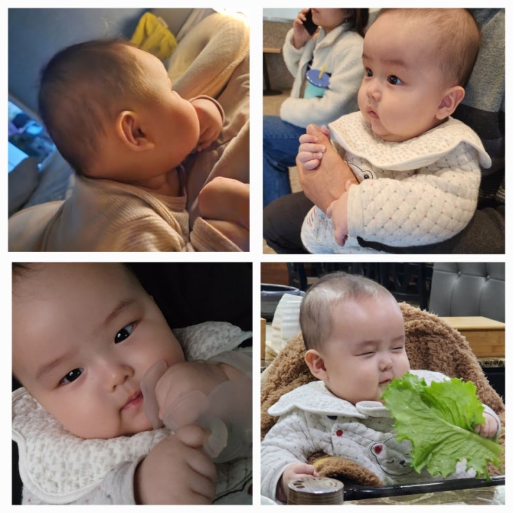 2025.03.05.수 (149일차) 제주여행준비 : 네이버 블로그