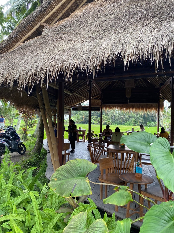 [발리] 우붓 논밭 뷰 Pukako by Paddyfield 카페 추천 : 네이버 블로그