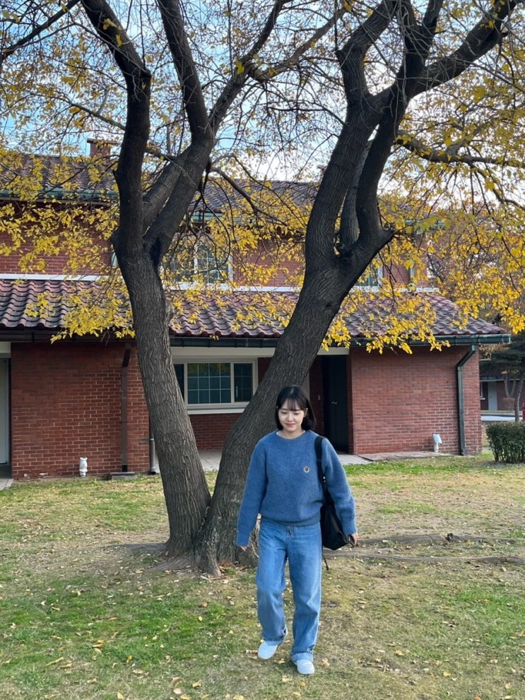 250306(-1℃/9℃) : 네이버 블로그