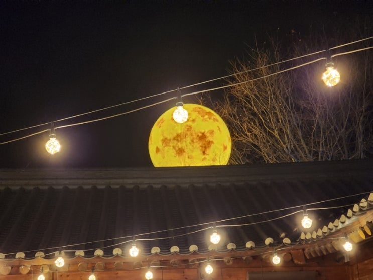 오늘의 "키즈노트 인사말" 3월 7일 금요일 : 네이버 블로그