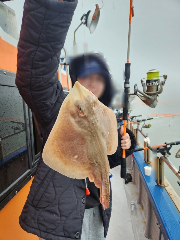 목포신세계갈치낚시매일출조 도다리~~간재미손맛 입맛 : 네이버 블로그
