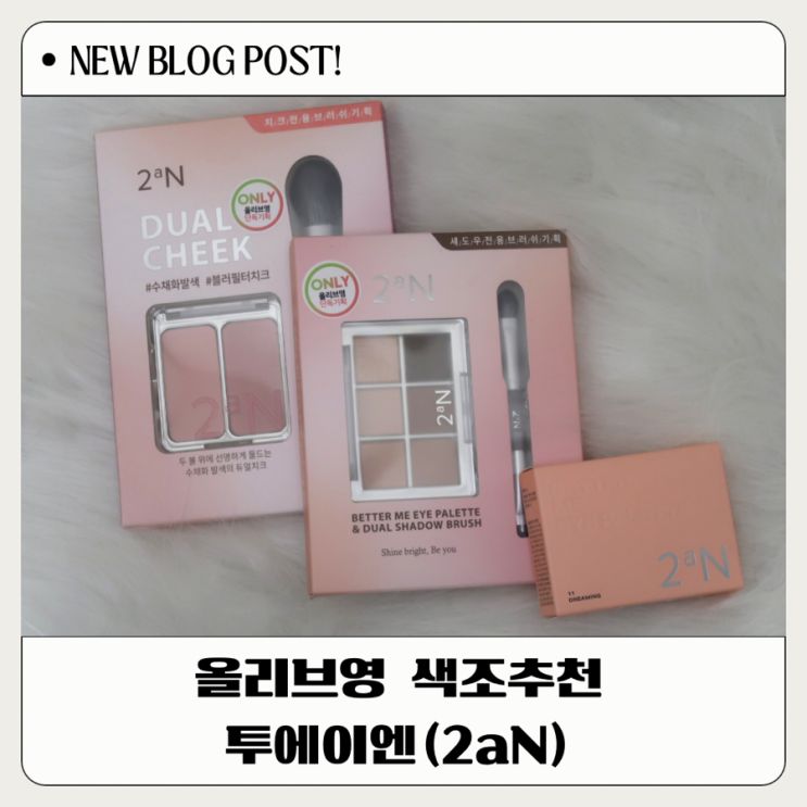 올리브영 색조추천 투에이엔 아이팔레트 듀얼 치크 블러셔로 쿨톤 메이크업 네이버 블로그
