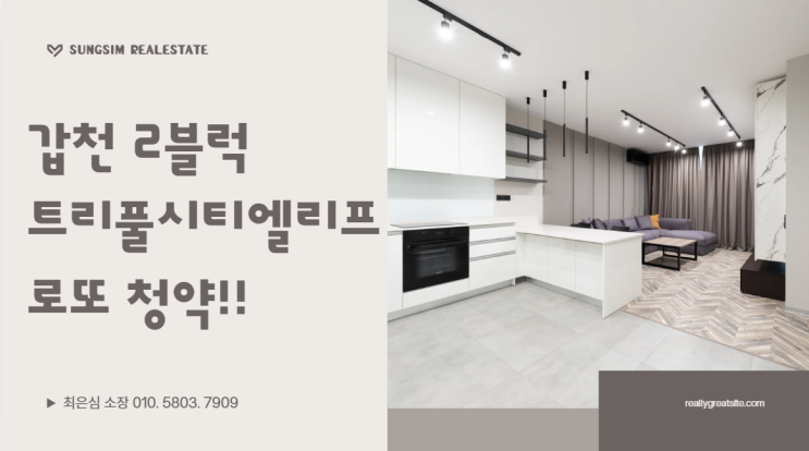 갑천2블럭 트리풀시티엘리프 로또 청약 : 네이버 블로그