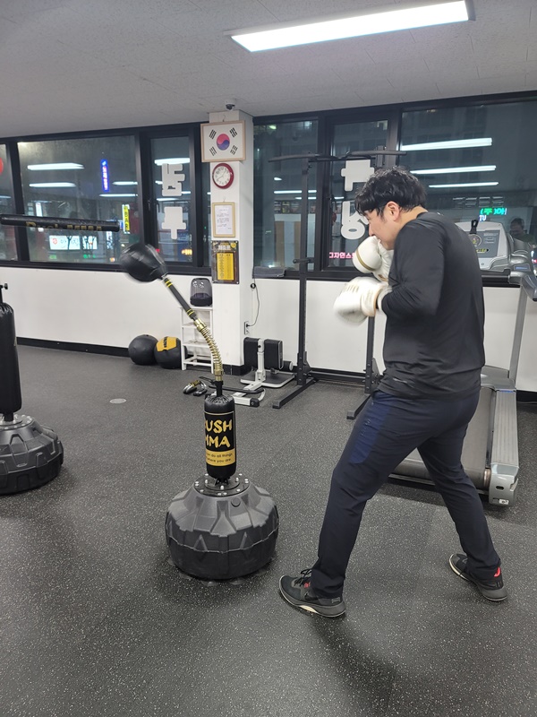 연습용 가성비 복싱글러브 rush mma 복싱글러브로 라이언가르시아처럼 코브라백 치기 : 네이버 블로그