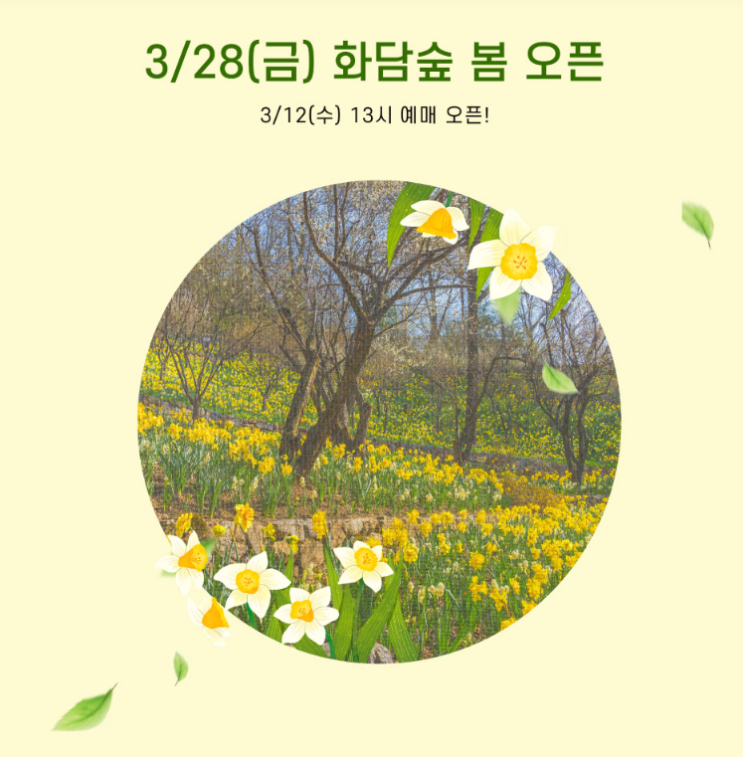 광주 화담숲 벚꽃 예약 개화시기 경기도 광주광역시 근교 꽃구경 곤지암 모노레일 여행 네이버 블로그
