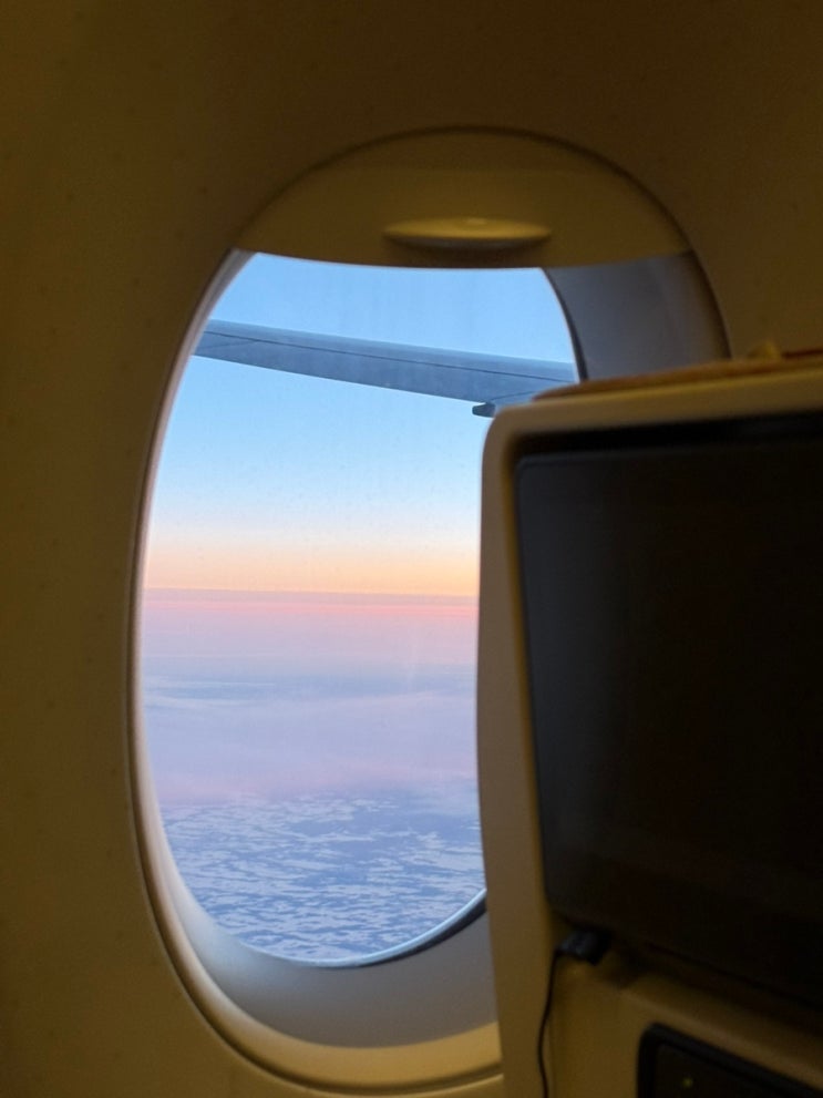 남미여행 DAY1. 여자 혼자 뉴욕 환승 (아시아나 OZ222 기내식, 뉴욕 jfk공항 입국심사, MPC 어플, 에어트레인 사기 ...