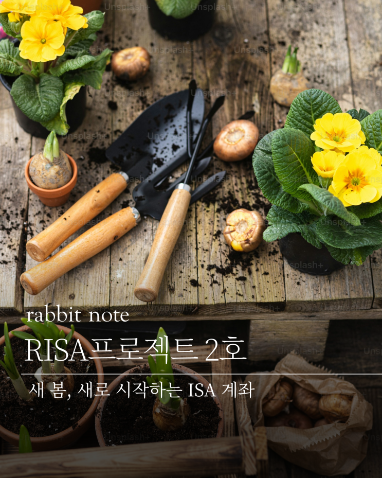 RISA프로젝트 2호 출범(래빗노트) : 네이버 블로그